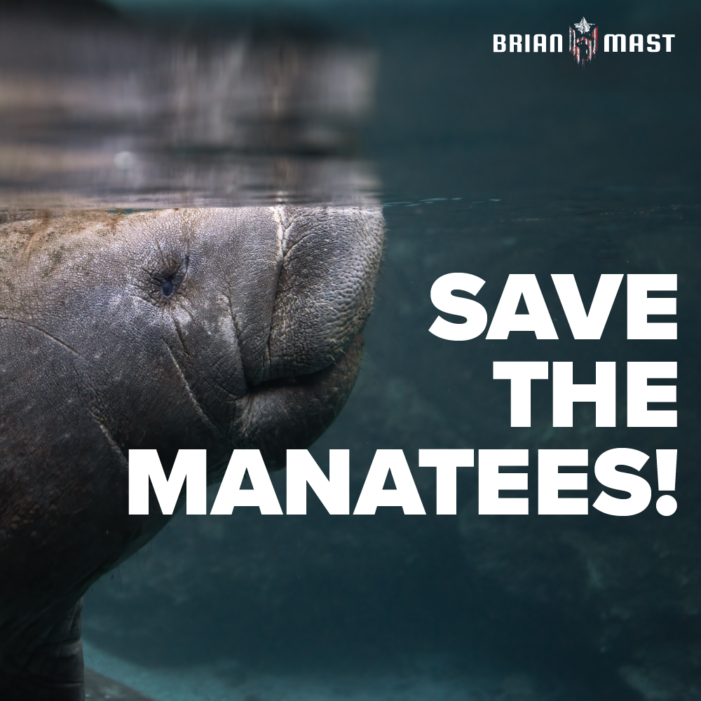 Manatees need our help! - Mast for Congress | Mast for Congress